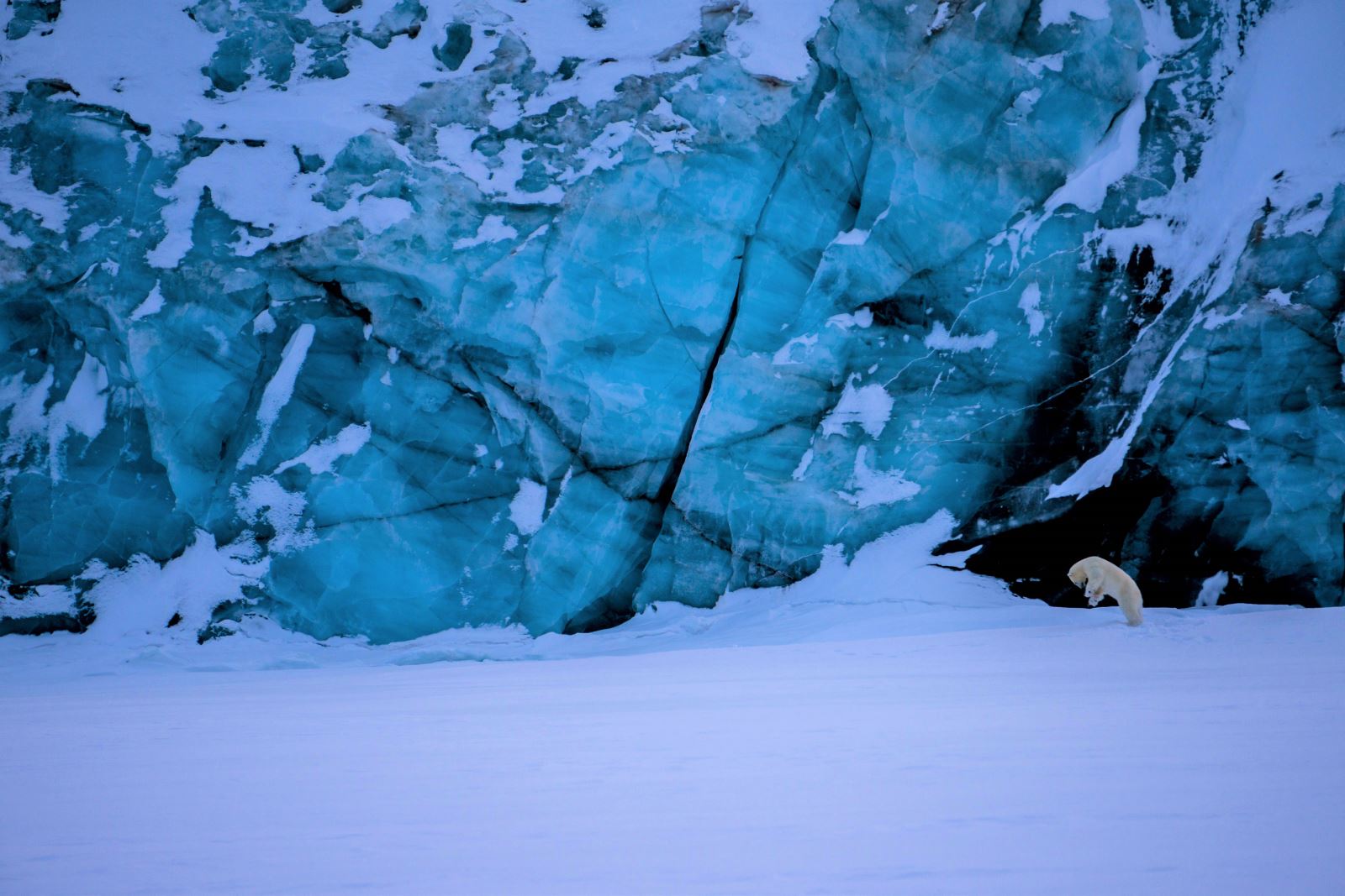 Møt Svalbardguiden Fredric Fröberg